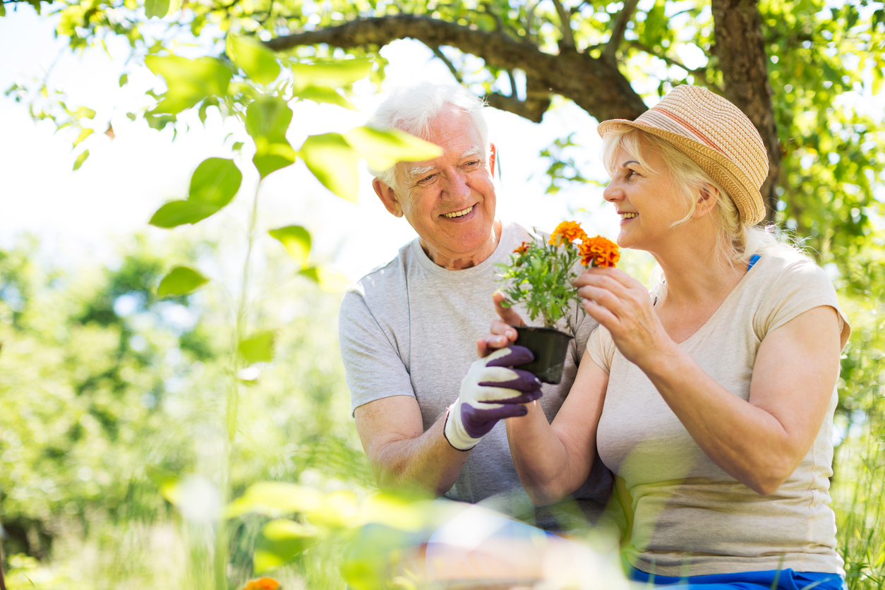 Spring Activities for Seniors: Simple Ways to Enjoy the Season